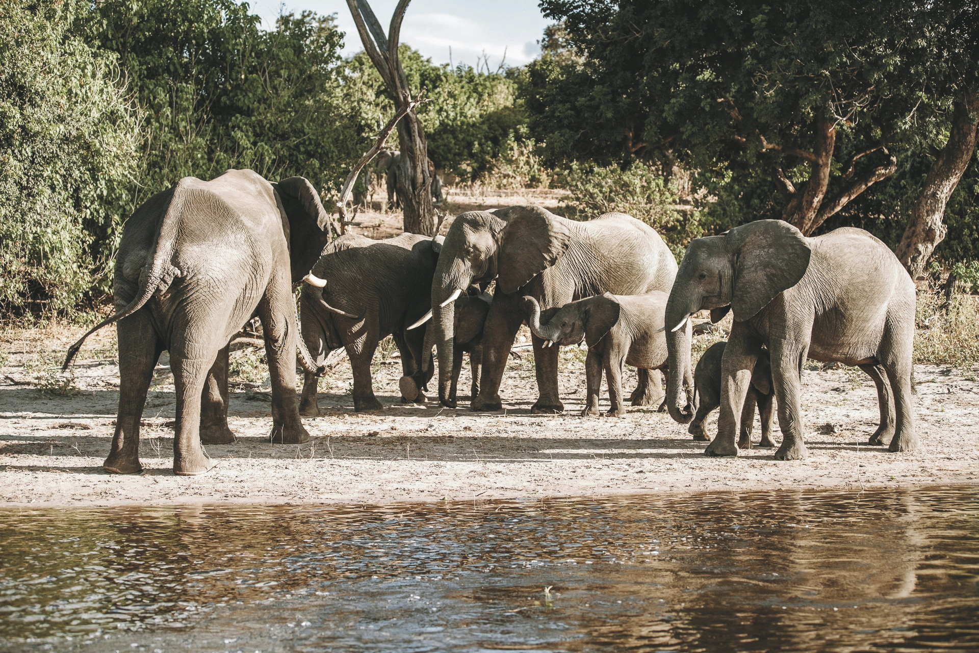Windhoek bis Chobe - Spektakuläre Wunderwelten - Karawane